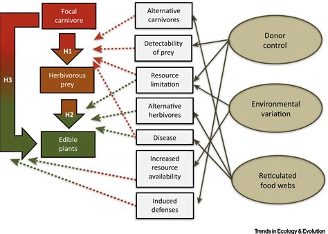 Trophic Cascades By Large Carnivores A Case For Strong Inference And