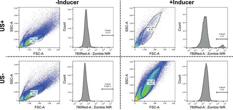 Flow Cytometry Quantification Gating Strategy For Quantifying Cell