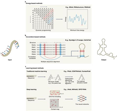 The Computational Methods For Rna Secondary Structure Modeling A