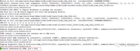 oracle delete误操作数据恢复 bbed 墨天轮