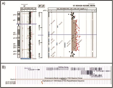 A Result Of Array Cgh Analysis Of Chromosome 17 With Agilent Human