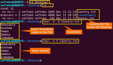 the “tail” command in linux [7 practical examples] linuxsimply