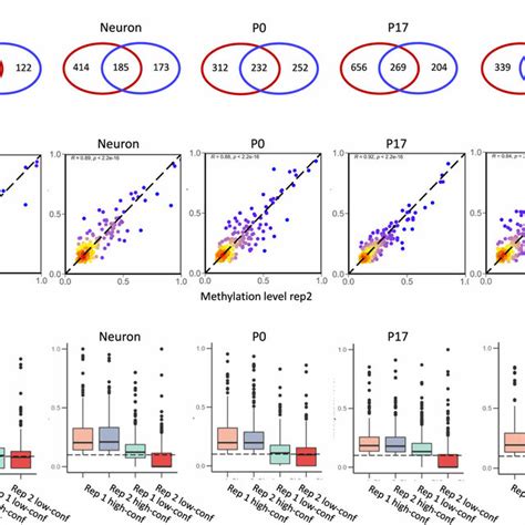 Reproducibility Of Replicates Among Rna Bs Seq Samples A Overlap Of