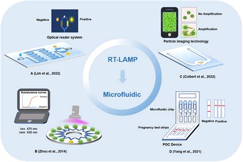 Frontiers A Loop Mediated Isothermal Amplification Enabled Analytical