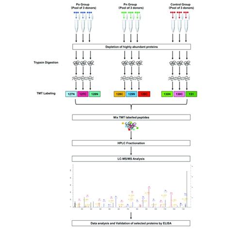 Schematic Workflow Of Tmt Based Quantitative Proteomic Analyses Of