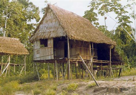 Casas Povos Indígenas No Brasil Mirim