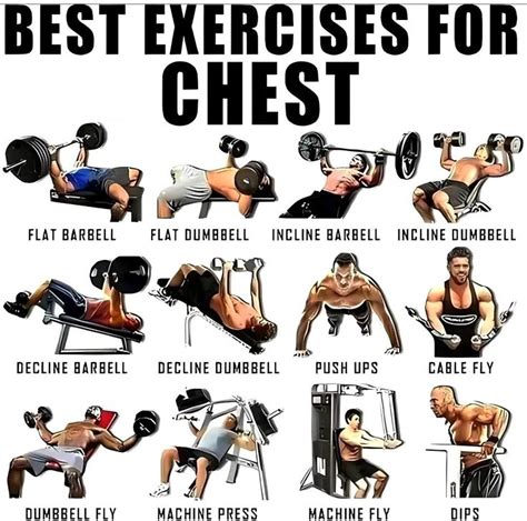 Pin Tillagd Av Humanhealthcare På Workout Styrketräning Workout Träning