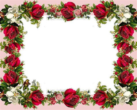 Rose Flower Photo Frame Wallpaper Best Flower Site