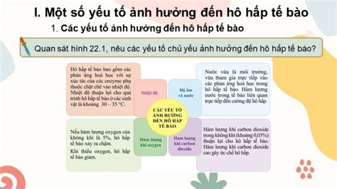 Giáo án điện Tử Khtn 7 Cánh Diều Phần Sinh Học Bài 22 Các Yếu Tố ảnh