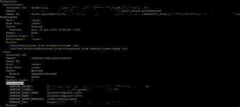 [jenkins 59855] missing jenkins environment variables to other docker