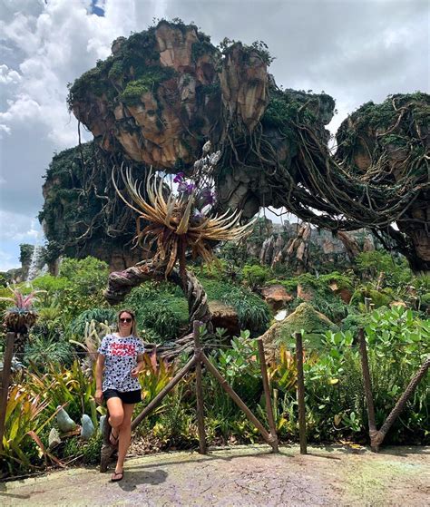 Instagram Post By Scheila Kindermann • Aug 17 2019 At 4 32pm Utc The 4