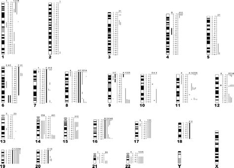 Overview Of All Copy Number Alterations Of 4 Acc Hgt Cases B D E And