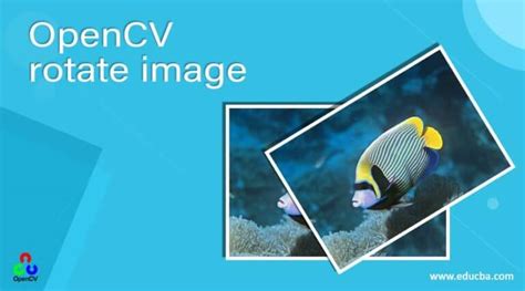 opencv rotate image quick glance on opencv rotate image