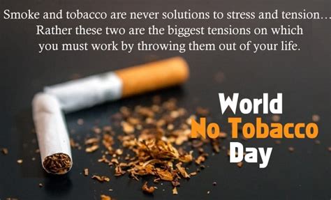 World No Tobacco Day 2024 Date Theme History Meaning Impact Messages