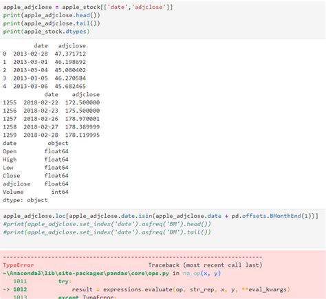 python how to filter dateframe by end of business month bm using