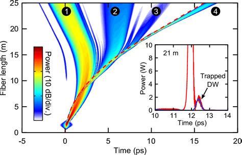 Simulated Temporal Evolution Of Various Dws Involved In The