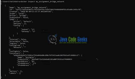 docker machine with bridged network adapter example examples java