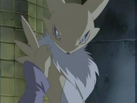 Digimon Tamers Renamon 2 By Giuseppedirosso On Deviantart