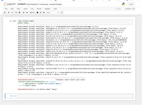 persistent environmental issues in python installed python packages