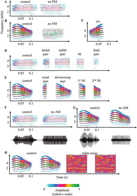 Spectrograms Of Temporal Modifications Of Female And Male Calls Used In