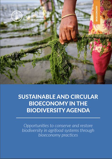 Publications Sustainable And Circular Bioeconomy For Food Systems