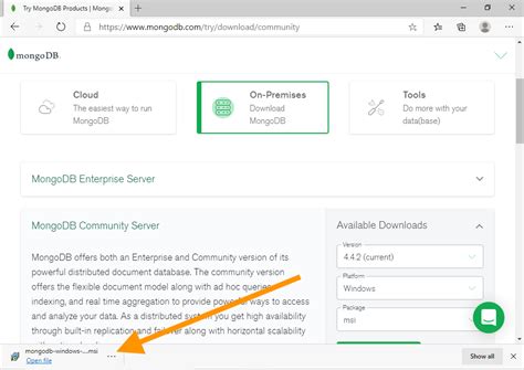 install mongodb on windows
