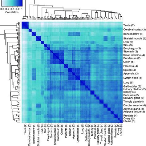 Hierarchical Clustering Of Human Tissues The Relationship Between The