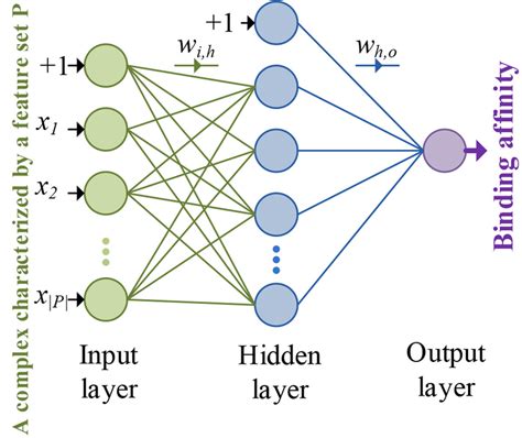 multi layered perceptron feed forward neural network used to predict