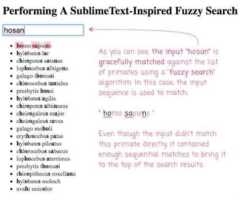 elasticsearch fuzzy query stack overflow