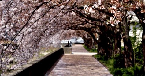 社会は全然褒めてくれないから、自分で自分を褒めてあげよう。｜まっしゅ｜note