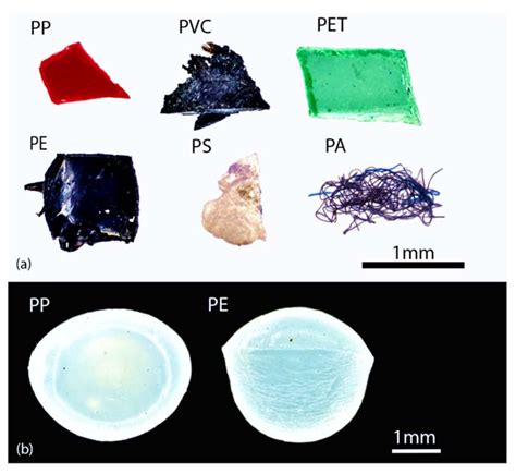 Polymers Free Full Text Effects And Impacts Of Different Oxidative