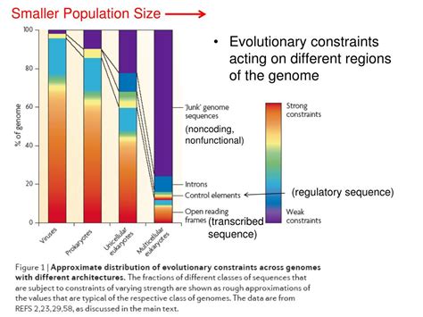 Ppt Genome Evolution Powerpoint Presentation Free Download Id 2584527