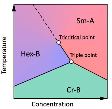 Materials Free Full Text Angular X Ray Cross Correlation Analysis