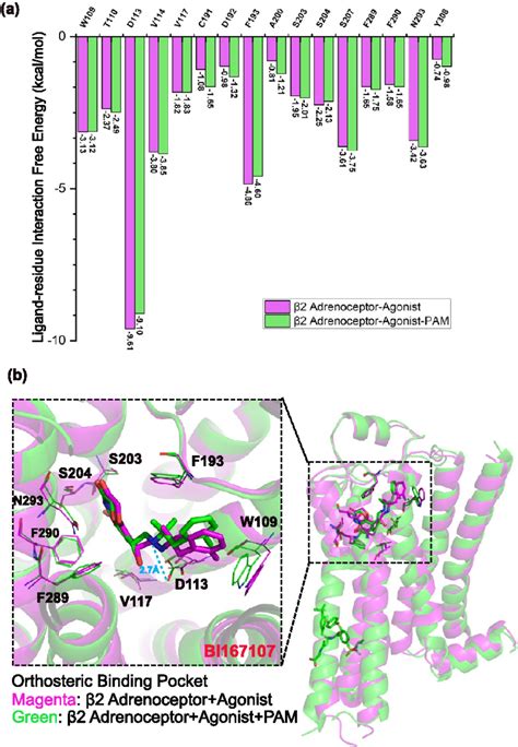 Orthosteric Binding Pocket Comparison In β2 Adrenoceptor−agonist−pam