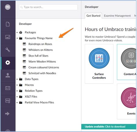 what is umbraco a quick overview