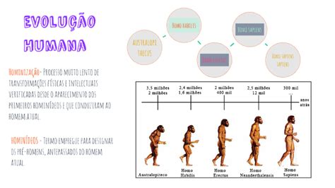 Evolucao Humana By Arielly Alves On Prezi