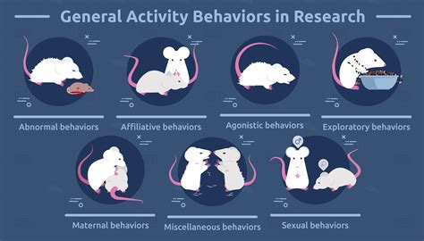 General Activity Behaviors Maze Engineers