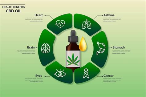 Free Vector Cbd Oil Benefits Infographic