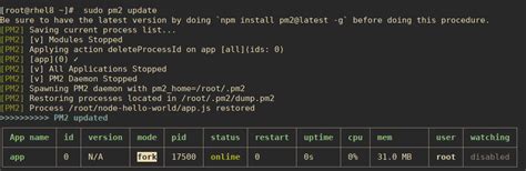install pm2 node js process manager on rhel 8 centos 8