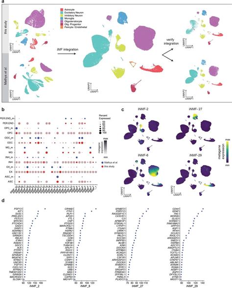 Inmf Integration Of Snrna Seq With Mathys Et Al Snrna Seq A Schematic