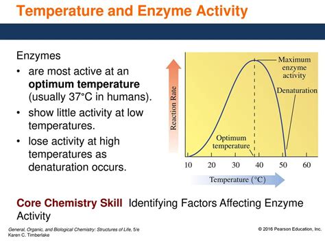 Factors Affecting Enzyme Activity Geeksforgeeks 55 Off
