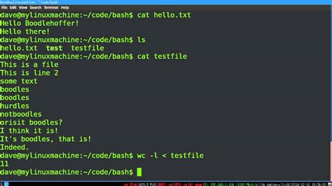 bash scripting 2 bash basics youtube