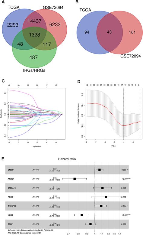 Frontiers Identification And Validation Of A Hypoxia Immune Signature