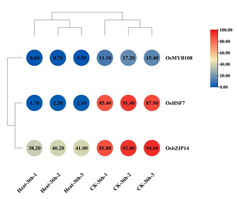 Ijms Free Full Text Integrated Atac Seq And Rna Seq Data Analysis