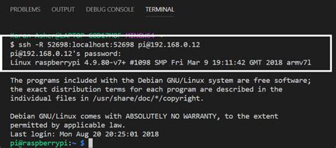 how to make your own python dev server with raspberry pi