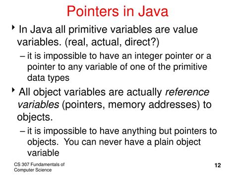 ppt java basics pointers and object variables topic 3