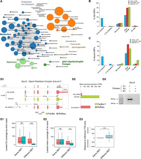 Sqanti Extensive Characterization Of Long Read Transcript Sequences