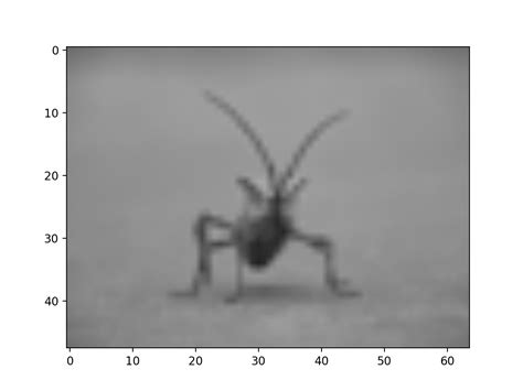 image tutorial — matplotlib 3 8 0 dev1736 g868004b07b documentation