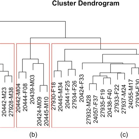 Dendrogram Of Complete Linkage Clustering Of Autocorrelation Surfaces