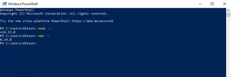 install and setup node js and npm on windows parallelcodes
